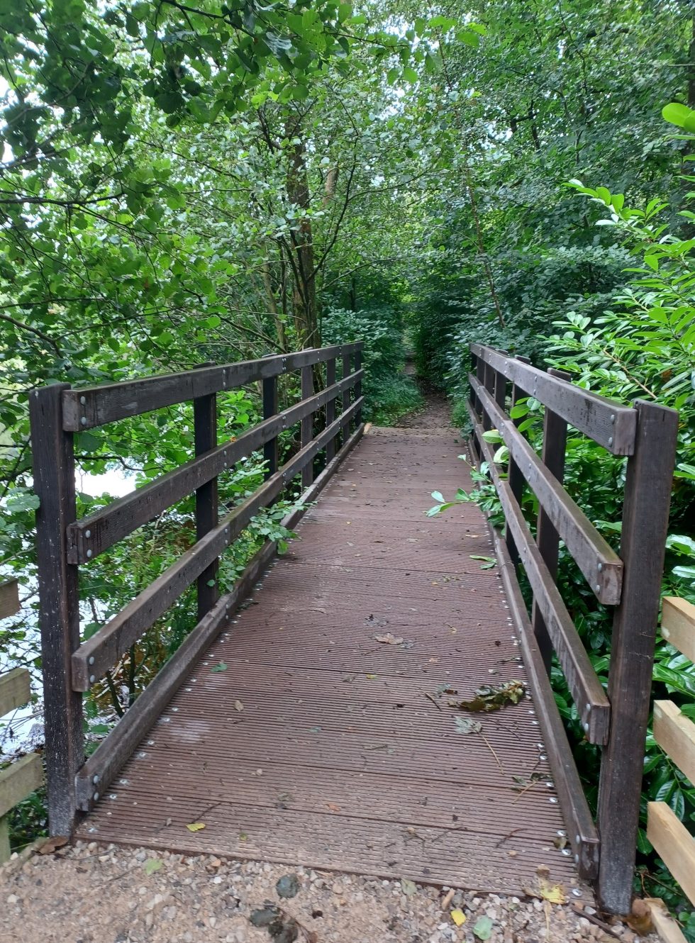 Sustainable Bridge Design & Construction | Polydeck