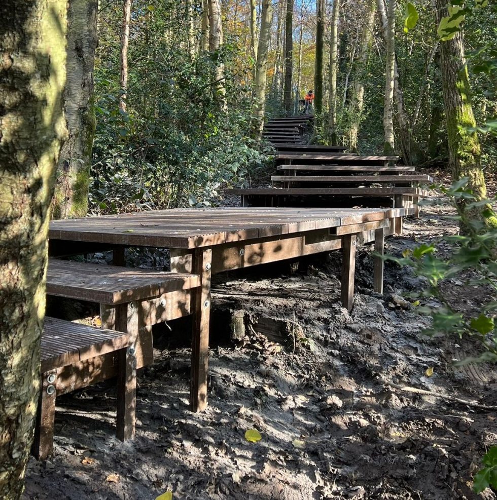 Sustainable Bridge Design & Construction | Polydeck