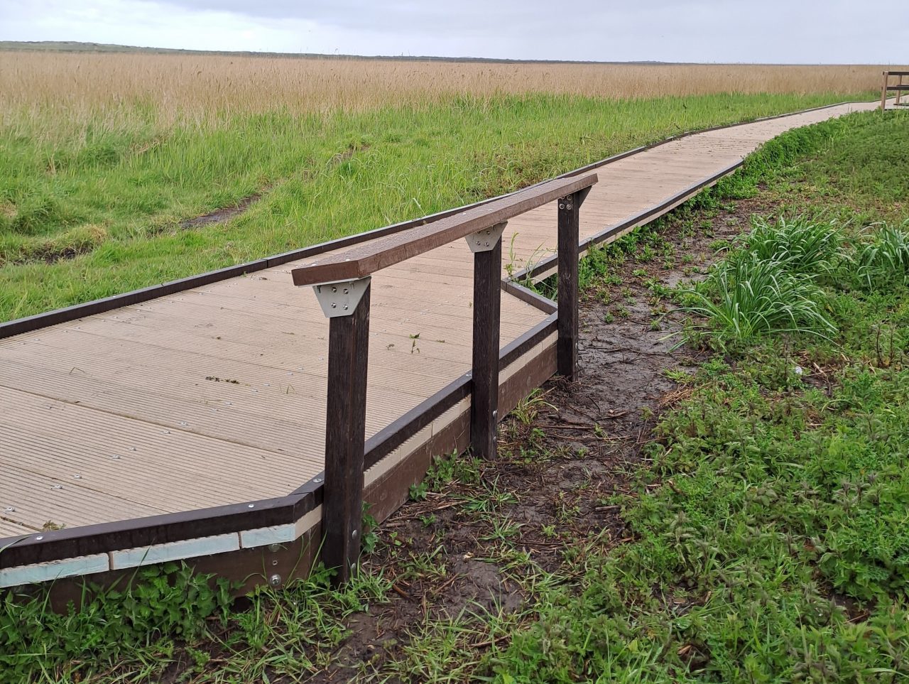 Durable GRP Boardwalks | Eco-Friendly | Polydeck