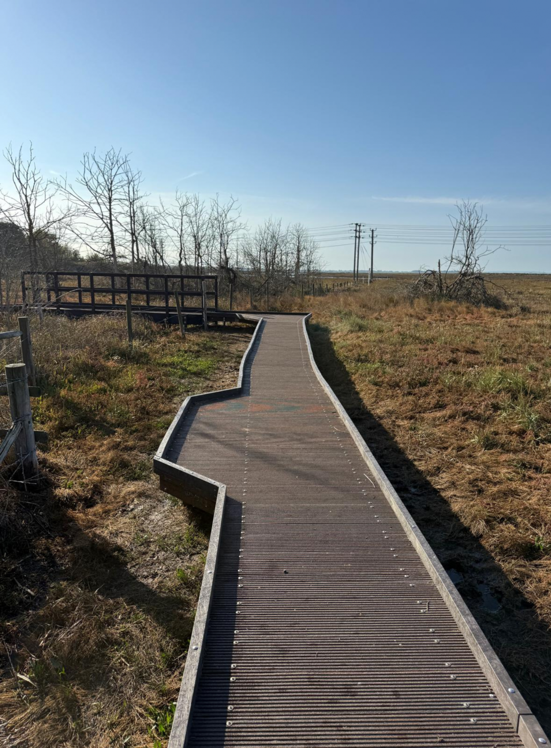 Sustainable Bridge Design & Construction | Polydeck